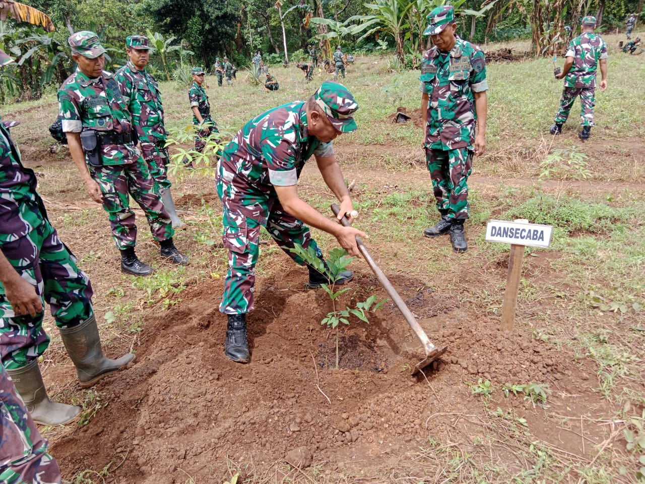 Tanam Serentak, Secaba Rindam XIV/Hsn Tanam Ratusan Bibit Buah di Lahan ...
